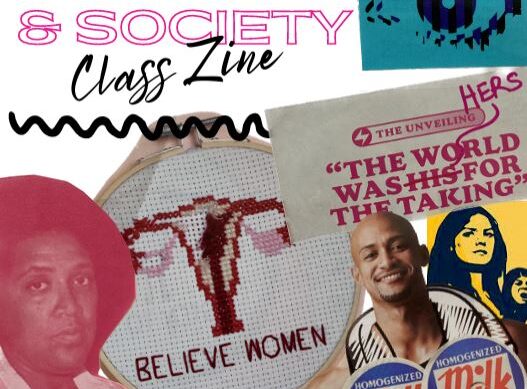 Gender Law and Society Class Zine - diyingender